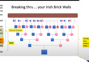 5 things you will learn from our 'Using Your DNA to Connect to Your ...