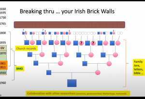 5 things you will learn from our 'Using Your DNA to Connect to Your ...